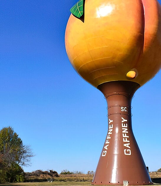 roadside attraction south carolina ftr