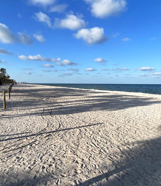 scenic beach florida ftr