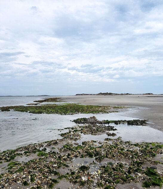 scenic beach south carolina ftr