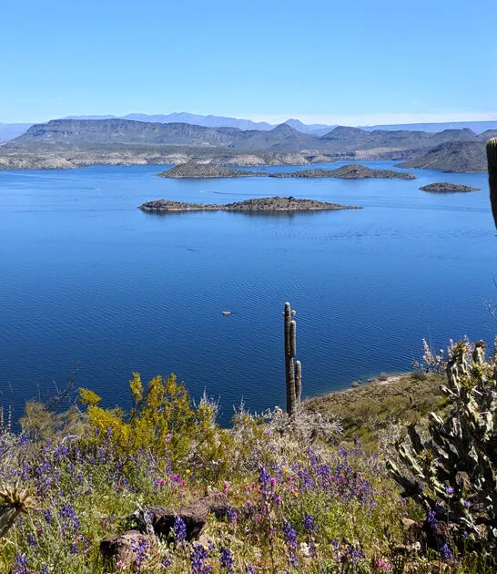 scenic regional park arizona ftr