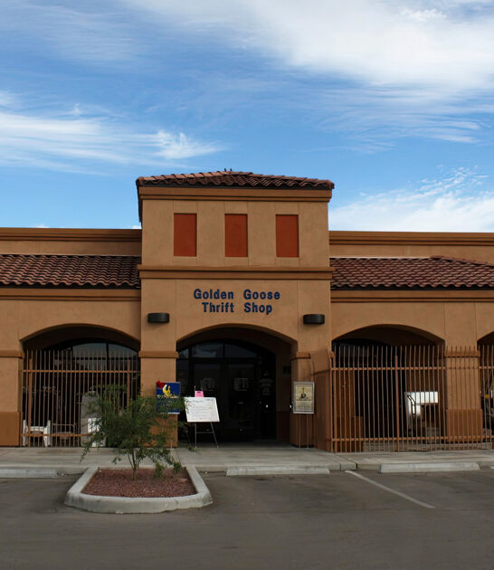 secondhand shop arizona dream FTR