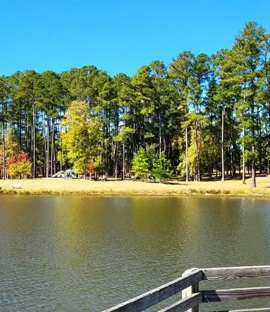 secret south carolina escape ftr