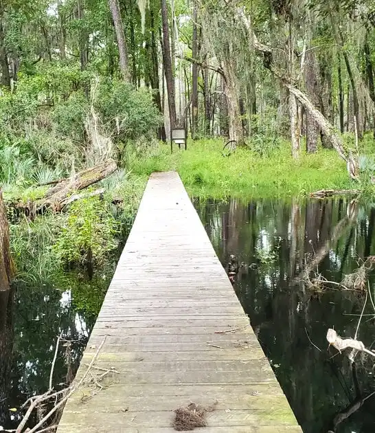 secret state park georgia ftr