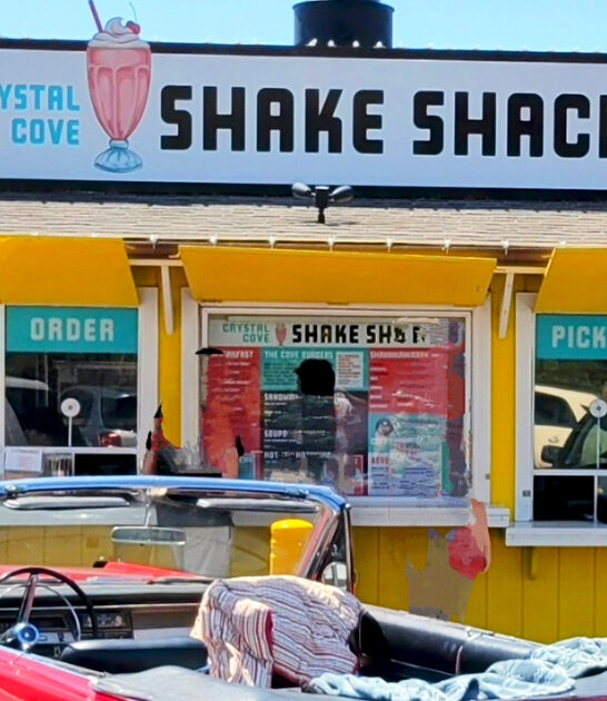shake shack california cheeseburgers ftr