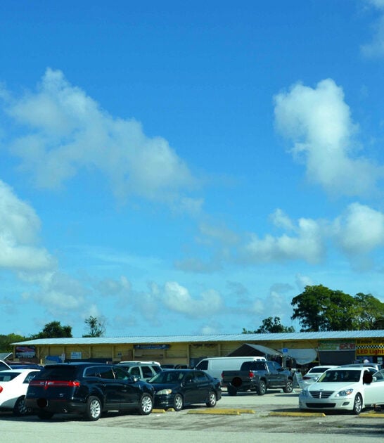 shop market florida cheap ftr
