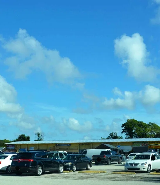 shop market florida cheap ftr