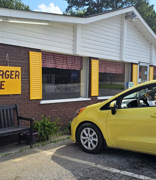 south carolina amazing fries ftr