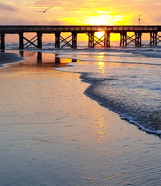 south carolina coastal escape ftr