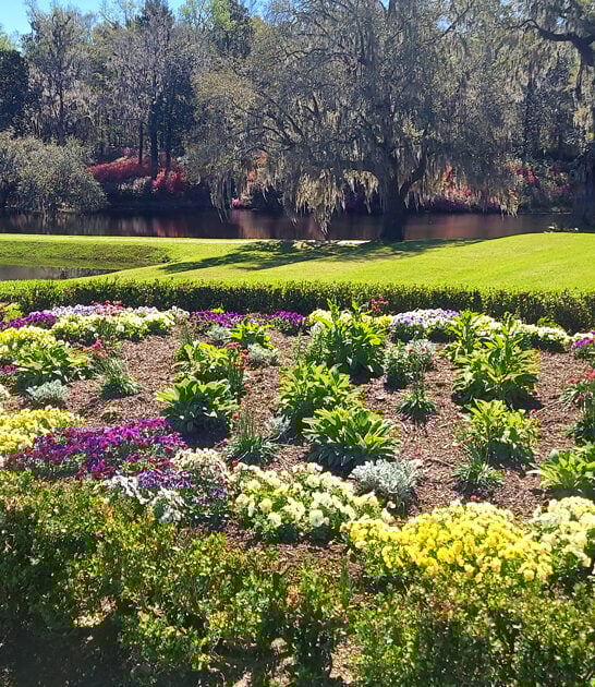 south carolina flower haven ftr