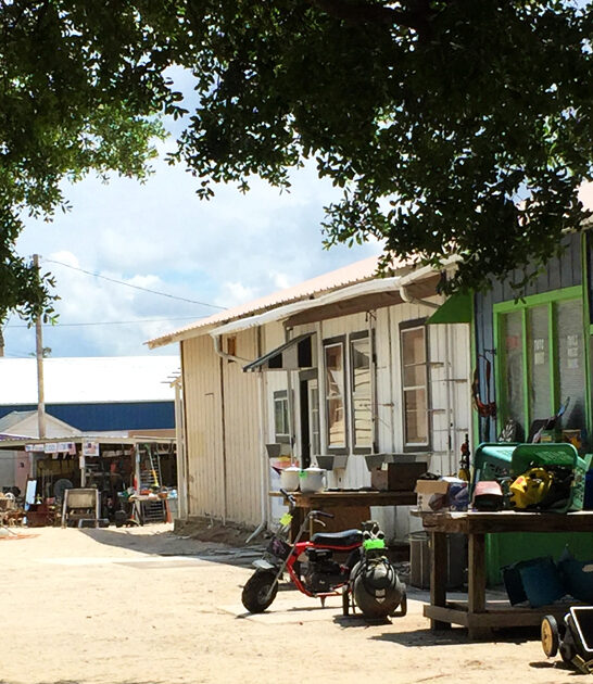 south carolina markets surreal ftr