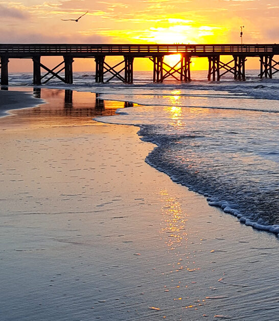 south carolina ocean tranquility ftr