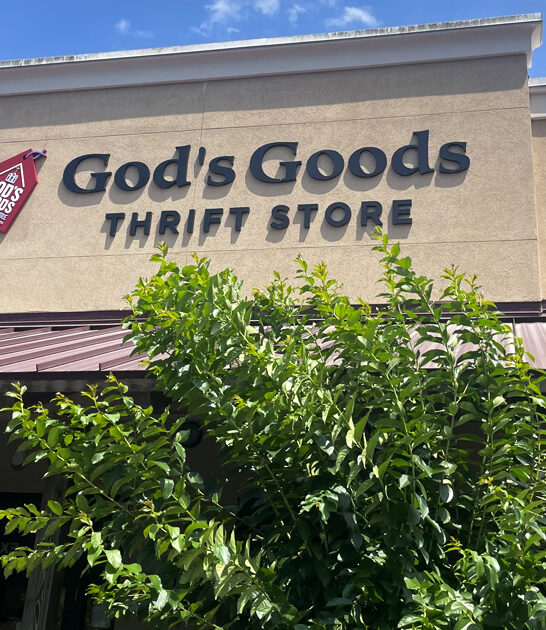 south carolina secondhand treasures ftr