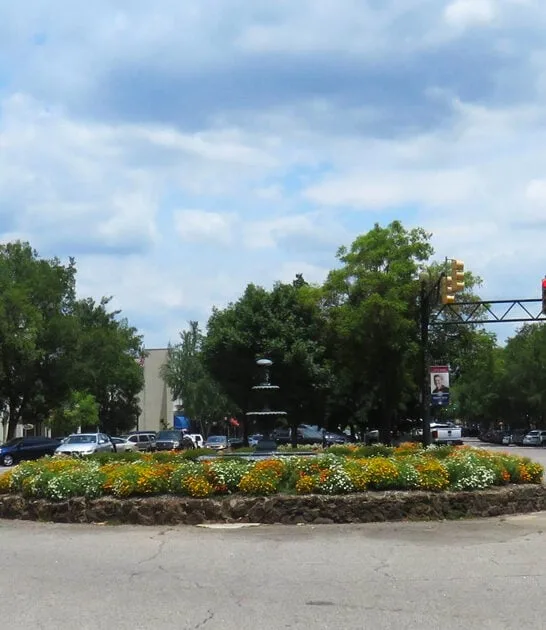 south carolina town era ftr