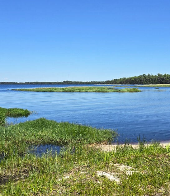 state hidden park florida ftr