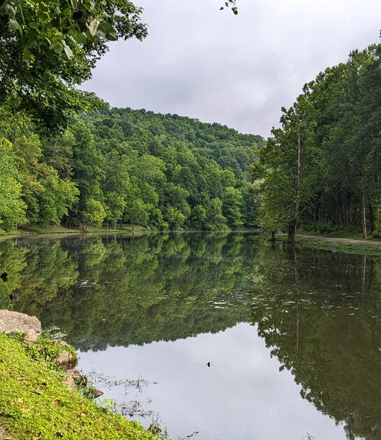 state park dream virginia FTR