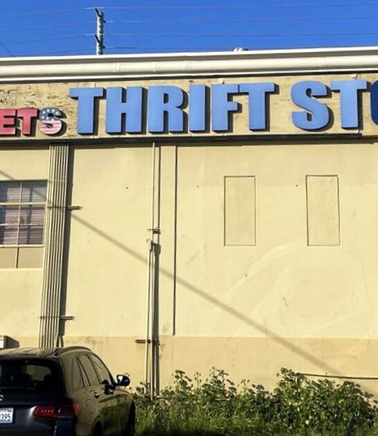 store california ultimate bargains ftr