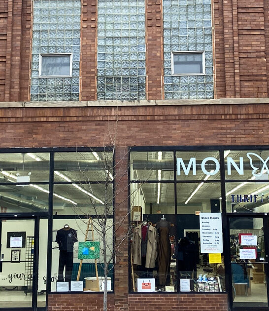 store illinois gigantic thrift ftr