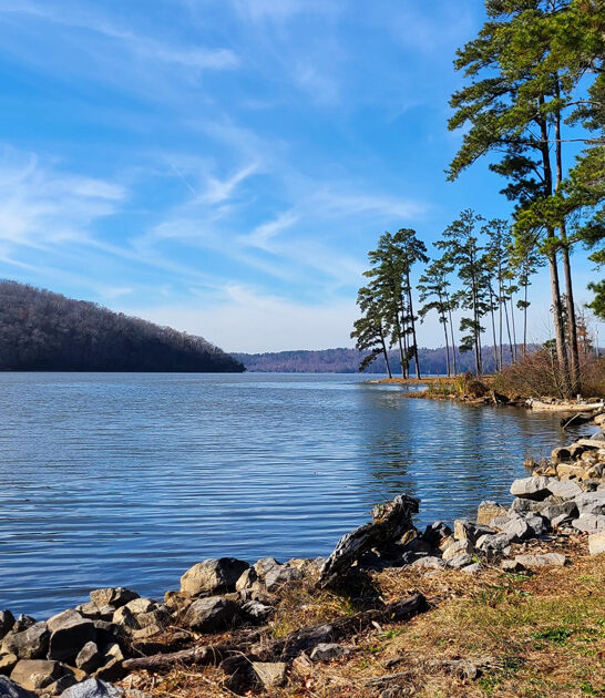stunning park alabama known ftr