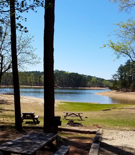 stunning park south carolina ftr