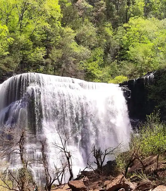 stunning park tennessee drive ftr
