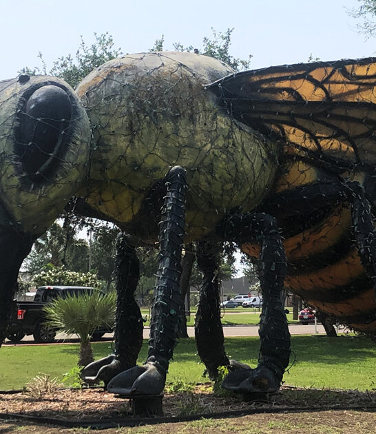 texas giant roadside wonder ftr