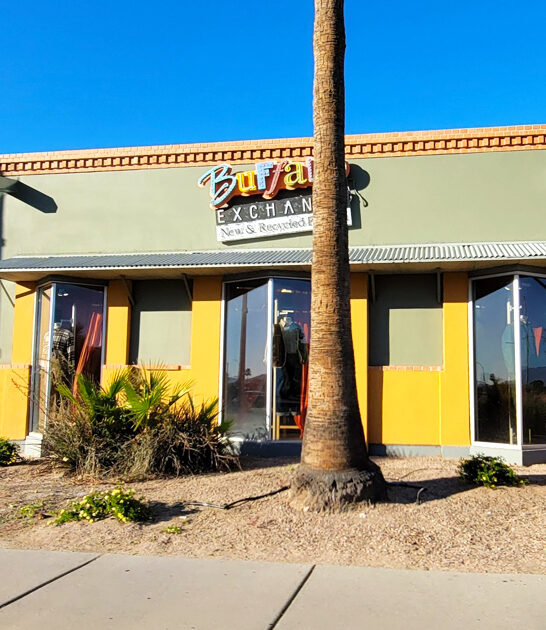 thrift store bargains arizona ftr