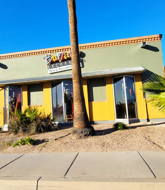 thrift stores arizona ftr