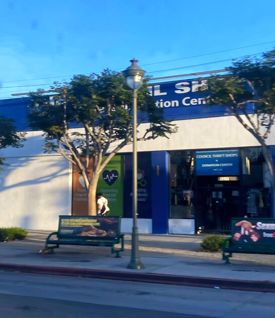 treasures secondhand shop california ftr