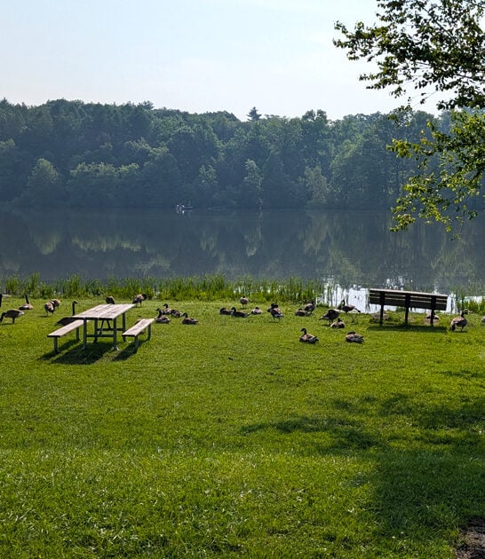 underrated park state pennsylvania ftr