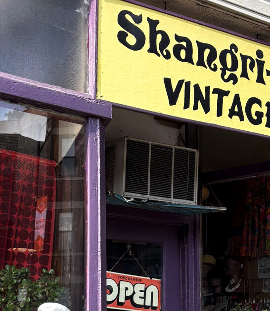 underrated vintage illinois store ftr