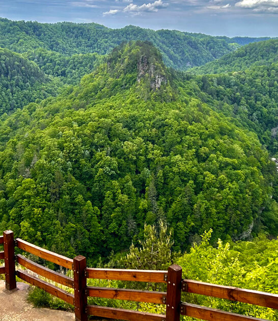 virginia discover big park ftr