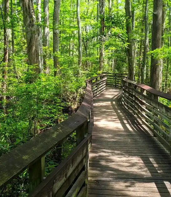 virginia nature park escape ftr