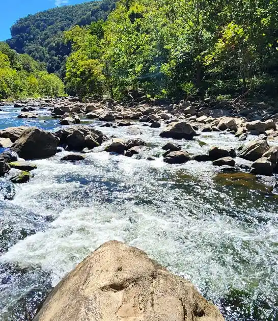 virginia stress free park ftr