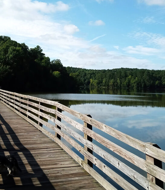 wilderness south carolina gem ftr