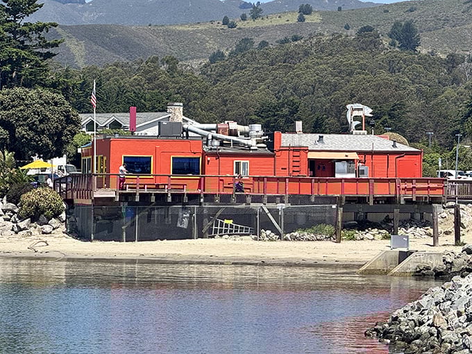 The unmistakable red exterior with its guardian fish sculpture announces itself like a maritime beacon for hungry travelers along Highway 1.