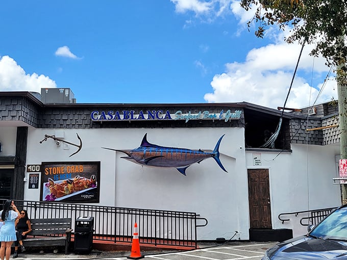 The marlin mounted on Casablanca's exterior isn't just decoration—it's a promise of the oceanic treasures waiting inside this Miami River gem.