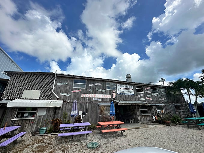 The weathered wooden exterior of City Seafood screams "authentic Florida" louder than a hungry pelican at feeding time. No pretense, just promise.