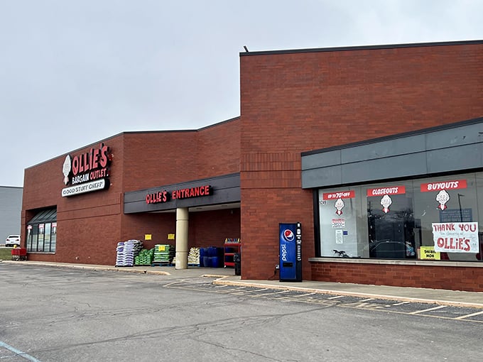 From the parking lot, Ollie's unassuming facade gives little hint of the treasure trove waiting inside – like finding a speakeasy, but for discount shopping enthusiasts.