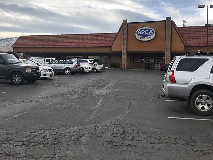 A bustling parking lot hints at the treasures within – thrift store enthusiasts know to arrive early for the best finds.