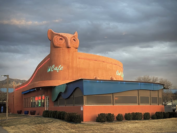 Silhouetted against dramatic clouds, this owl doesn't give a hoot about subtlety – it boldly announces its presence as Albuquerque's temple of diner classics.