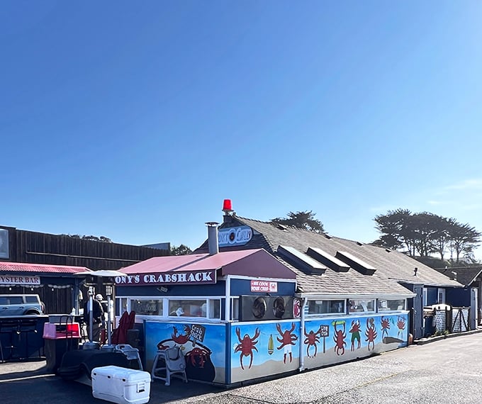 The blue shack with colorful crab murals isn't trying to be fancy—and that's exactly why it's perfect. Oregon coastal dining at its most authentic.