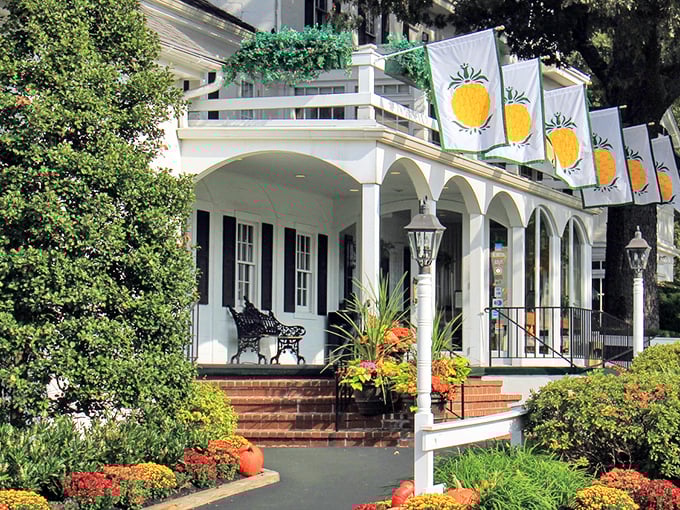 The pineapple flags flutter above this colonial masterpiece like a welcome committee that's been greeting guests since George Washington's day.