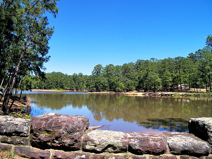 The serene lake at Bastrop State Park mirrors the towering pines like nature's own Instagram filter. Pure Texas tranquility at its finest.