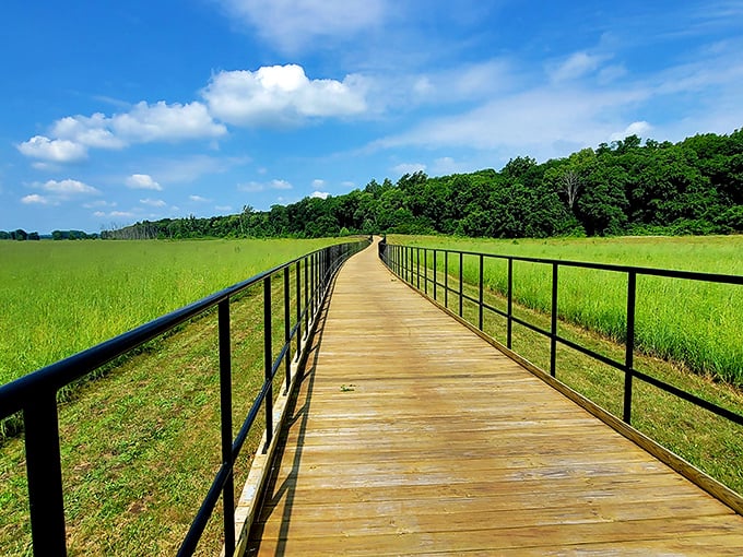 Nature's runway stretches before you at Prophetstown, where this wooden boardwalk invites exploration through seas of prairie grass under Indiana's impossibly blue skies.