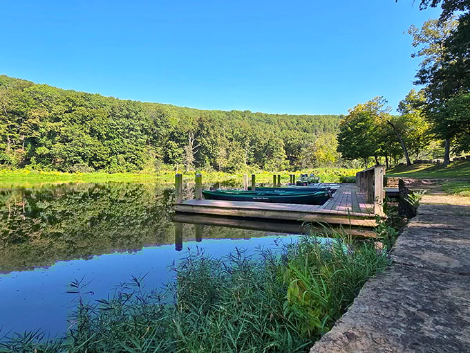 Mother Nature's mirror game at its finest—crystal waters reflect towering trees while a wooden dock beckons adventure seekers at Devil's Den.