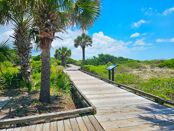 This boardwalk doesn't lead to Oz, but the emerald forest and sapphire sea combo comes pretty close.