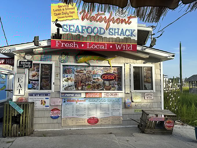 The weathered sign promises "Fresh • Local • Wild" – three words that perfectly sum up the coastal Carolina experience waiting inside this unassuming seafood haven.
