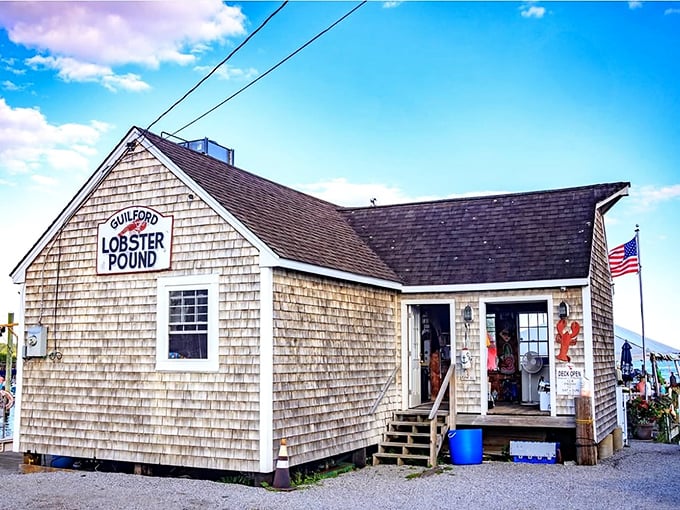 The quintessential New England seafood shack – weathered cedar shingles, American flag, and the promise of lobster treasures within. Connecticut coastal perfection!