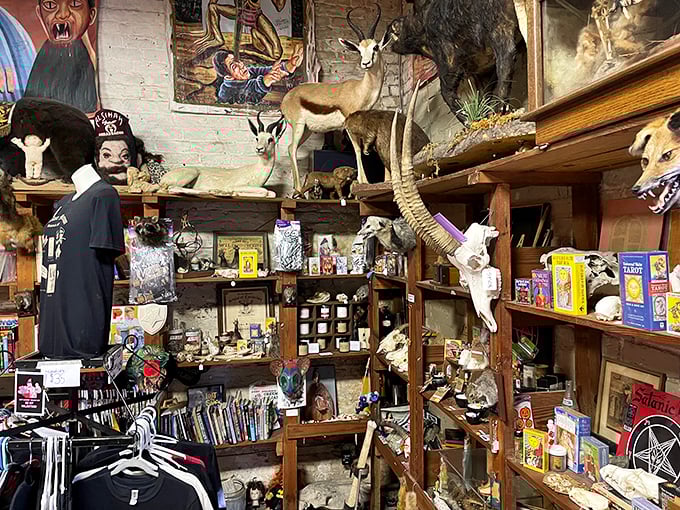 Inside Graveface Museum, visitors find a spooky collection of oddities, creepy memorabilia, and quirky shirts and souvenirs, all waiting for the brave and curious.