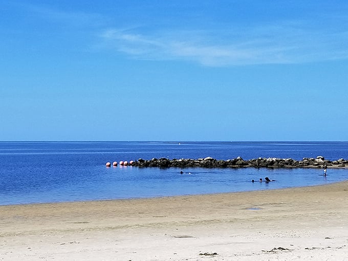 Where the Gulf of Mexico meets unspoiled shoreline, Fort Island Beach offers that increasingly rare Florida experience—serenity without the souvenir shops.
